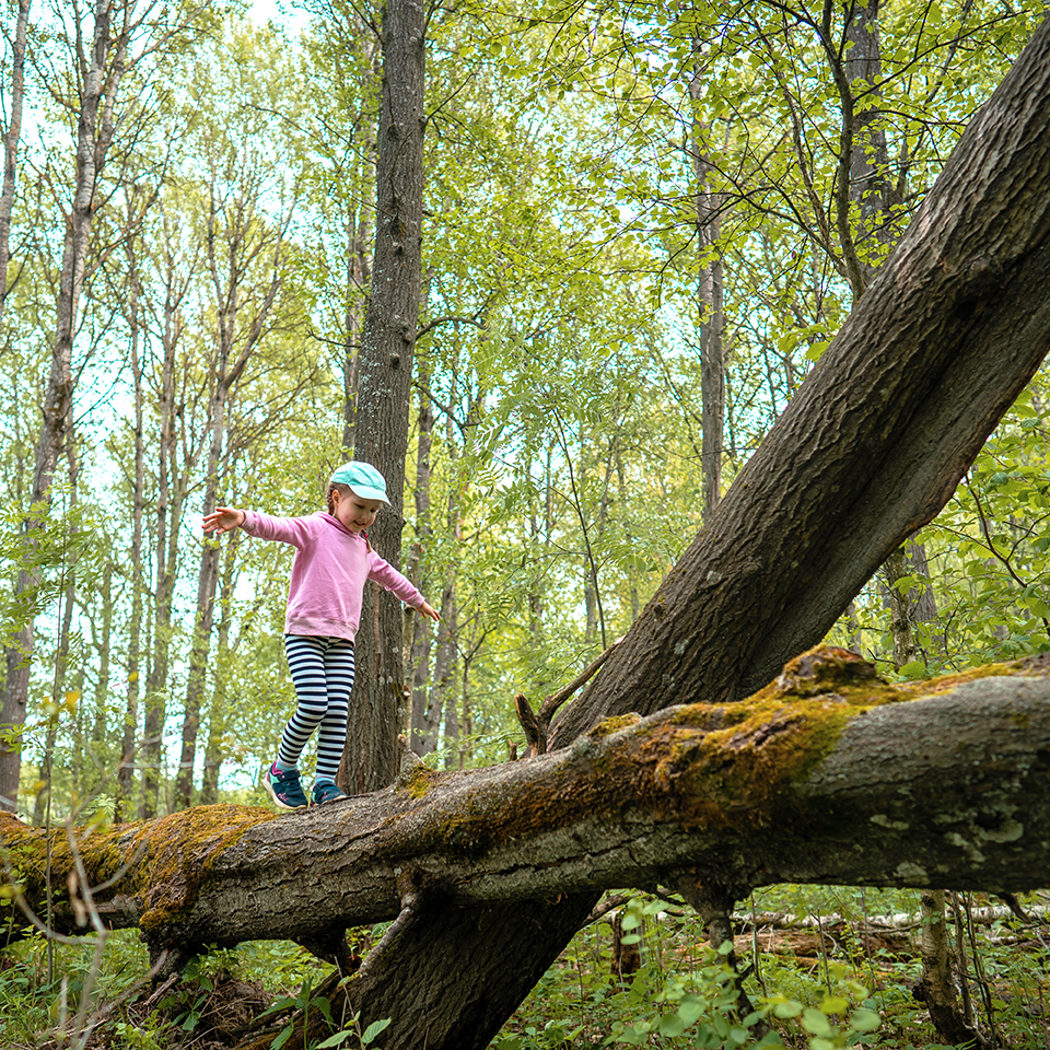 Grey-Bruce Kids – A free magazine for parents and caregivers